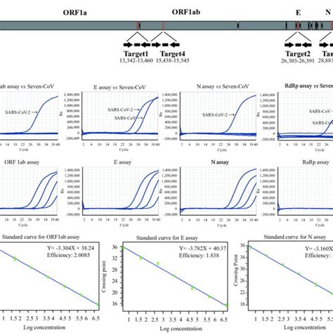 Development Of Three Rrt Pcr Assays For Detection Of Sars Cov 2 A Download Scientific