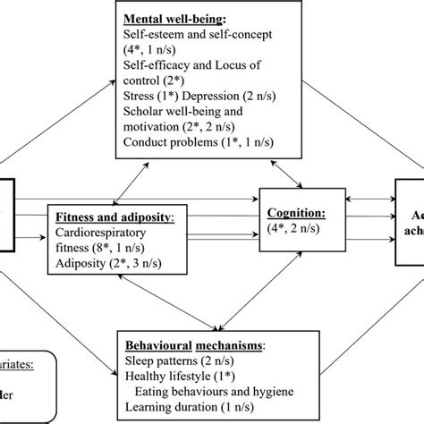 Model Of The Mediators That May Play A Role In The Relationship Between