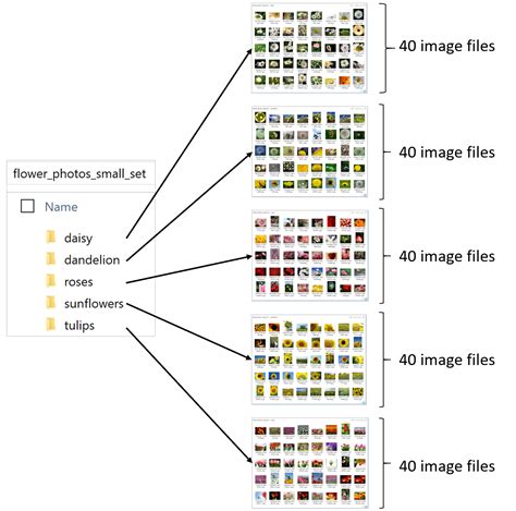 Training Image Classificationrecognition Models Based On Deep Learning