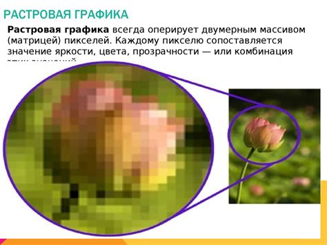 Растровая графика примеры изображений