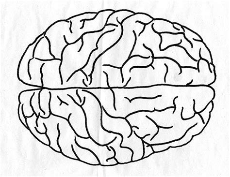 Brain Line Drawing At PaintingValley Com Explore Collection Of Brain Line Drawing