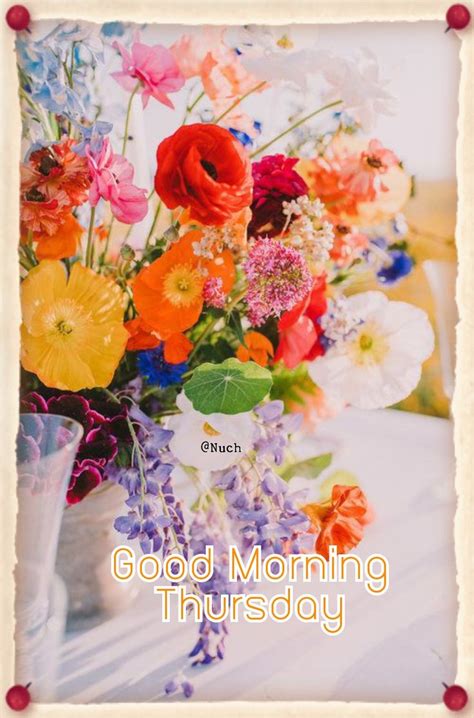 ปักพินโดย Anoosara P ใน สวัสดีวันพฤหัสบดี