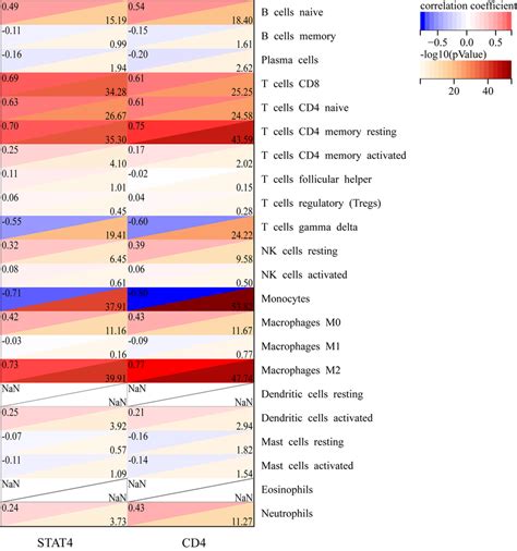 Heatmap Showing The Correlation Between Feature LncRNAs And Immune Download Scientific Diagram