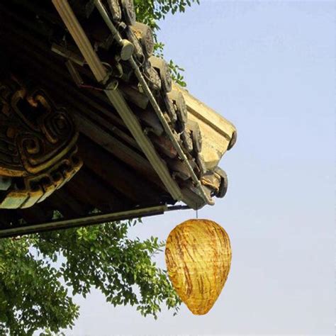 Waterproof Outdoor Wasp Nest Decoy Drive Wasps Artificial Wasp Nests For Outdoor Garden Yard Waterproof Outdoor Wasp Nest Decoy Drive Wasps Artificial Wasp Nests For Outdoor Garden Yard
