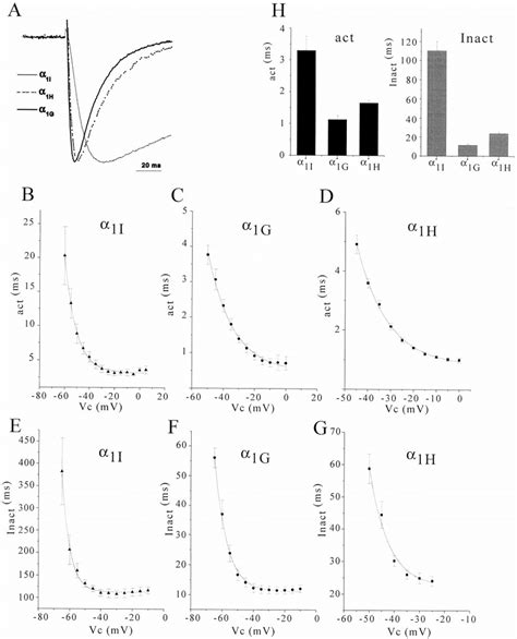 Voltage Dependence Of Kinetics Parameters Of Activation And