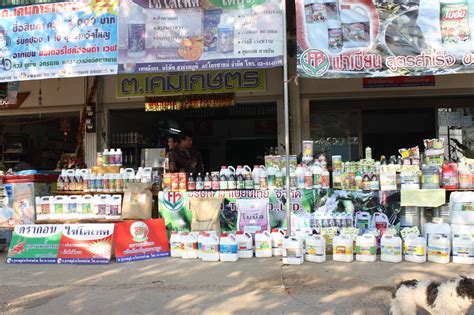 ต เคมีเกษตร จำหน่าย ปุ๋ย ยาฆ่าแมลง ออนไลน์ Chiang Mai