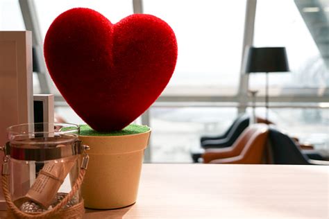 냄비 부드럽고 귀여운 발렌타인 개념에 붉은 마음을 사랑 하는 노출 부족 개념에 대한 스톡 사진 및 기타 이미지 개념 개념과 주제 귀여운 Istock