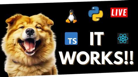 🔴live Coding ♾️ Golang Python Typescript Projecct Coding Projects Youtube
