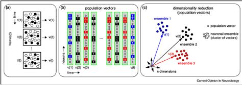 Figure 1 From Playing The Piano With The Cortex Role Of Neuronal Ensembles And Pattern