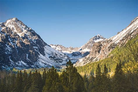 雪山树木4k壁纸 千叶网