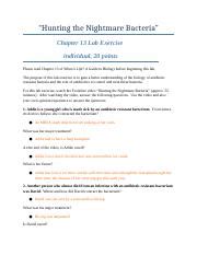Chapter 13 Lab Assignment Mark Hdz Docx Hunting The Nightmare