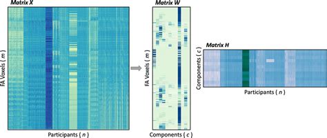 Schematic Of Non‐negative Matrix Factorization Nmf Method The Data Download Scientific
