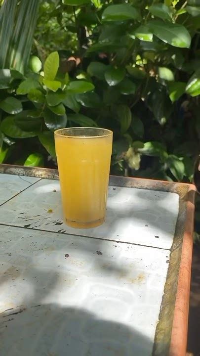 වැස්සේ සීතලම සීතල බීම එකක් බොමුද 😋 Youtube