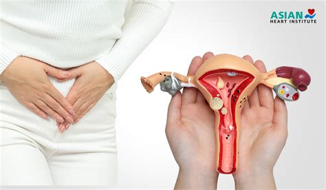 Pcod Vs Pcos Key Differences Every Woman Should Know