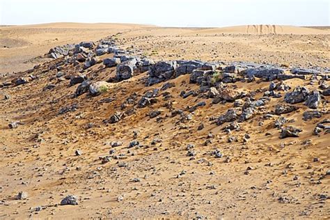 Fossil Banner Background 190 Best Banner Images Free Download Pngtree