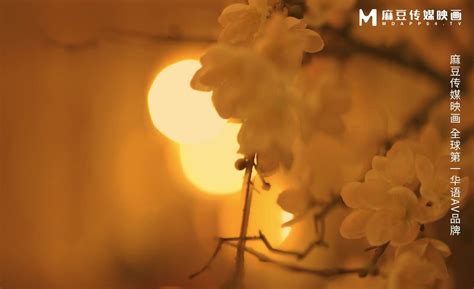 UN KVIDEO CHN23082711