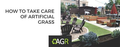 How To Care For Your Artificial Grass Lawn Your Guide
