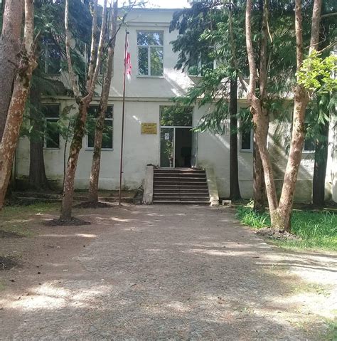 ნიგოზეთის საჯარო სკოლა