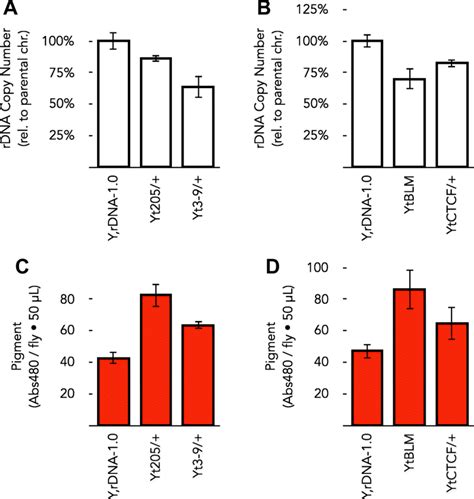 Rdna Copy Number Is Reduced By Exposure To Mutations That Affect Rdna Download Scientific