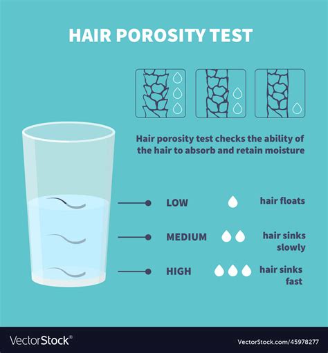 hair porosity water float test infographics poster