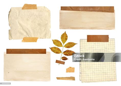 스크랩북을 위한 빈티지 요소 모음 향수를 불러일으키는 복고풍 종이 고정 접착 테이프 줄무늬 건조 프레스 잎 종이 태그 세트 모형 템플릿 흰색 배경에 고립 사진첩에 대한 스톡
