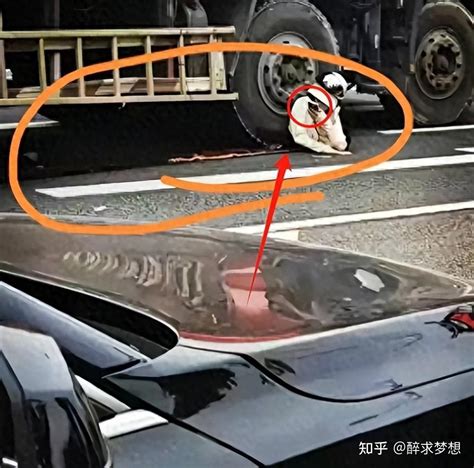太惨了！山东聊城突发车祸女子下半身被碾压，淡定打电话交代后事 知乎