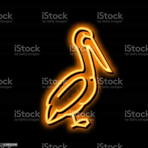 펠리컨 새 네온 글로우 아이콘 그림 펠리컨에 대한 스톡 벡터 아트 및 기타 이미지 펠리컨 갈매기 굴뚝새과 Istock