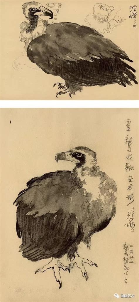 大师是这样炼成的徐悲鸿素描速写底稿分享 搜狐大视野 搜狐新闻