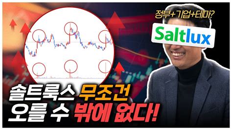 솔트룩스 주가 전망 솔트룩스 Ai 빅데이터 토종기업 정부와 기업 그리고 테마순환까지 엮이면 무조건 오릅니다 솔트룩스 솔트룩스 주가 솔트룩스 전망 Youtube