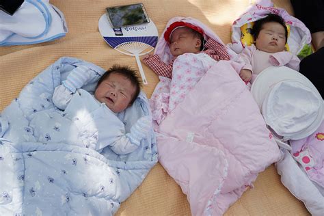 가족과 함께하는 봄나들이 견학