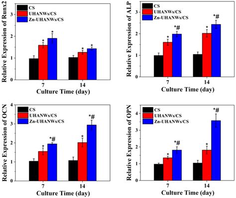 Rt Qpcr Analysis For The Osteogenic Gene Expression Runx2 Alp Ocn