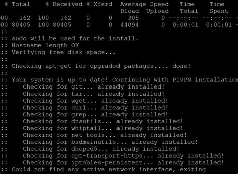 Could Not Find Any Active Network Interface Exiting Pivpn