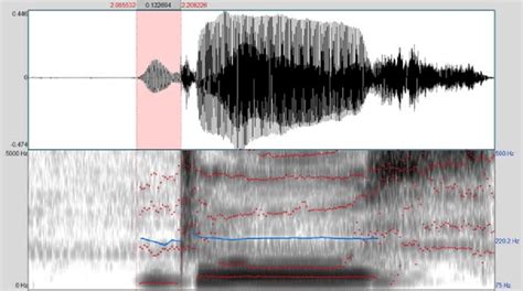 Oscillogram And Spectrogram Of Slovak Affricate Dž When Comparing Figs