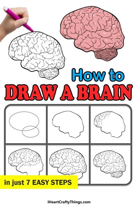Brain Drawing How To Draw A Brain Step By Step