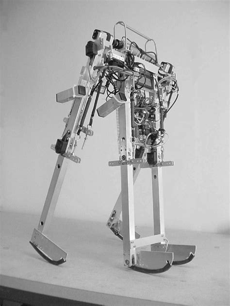 3 Passive Walker Wisse Et Al 2005 Download Scientific Diagram