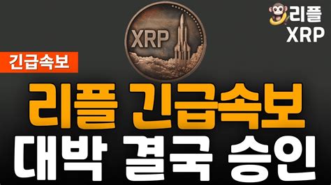 ※긴급속보※ 리플 Xrp 미쳤다 트럼프 행정명령 승인 Youtube