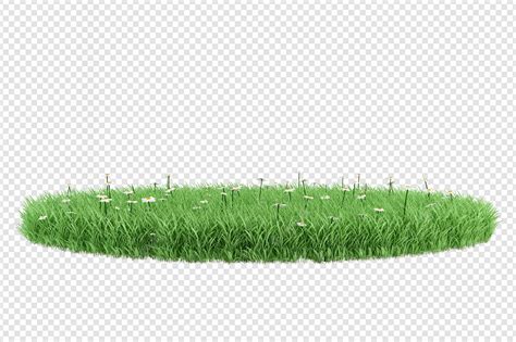 Premium Psd Various Types Of Grass Rendering Isolated