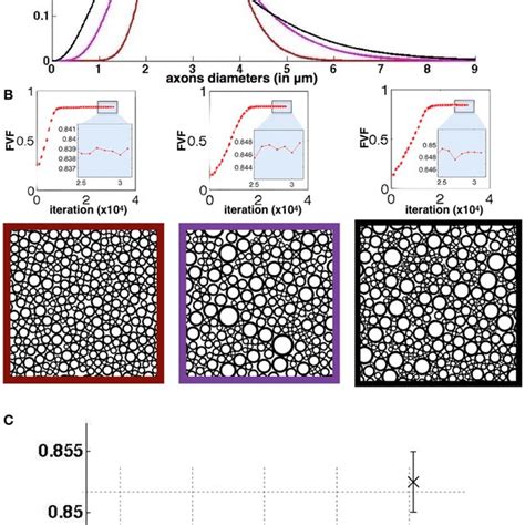 Application For Simulating White Matter Microstructure Ac Evolution Download Scientific