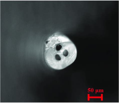 Output Cross Section Of The 3 × 1 Fluoroindate Combiner Captured With