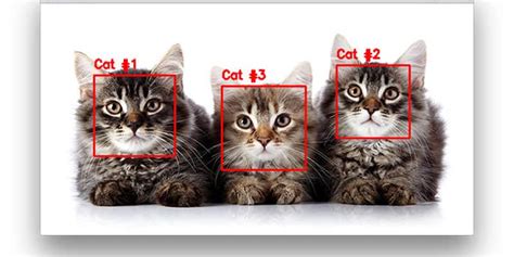 使用 Opencv 识别图片中的猫咪 Linuxstory