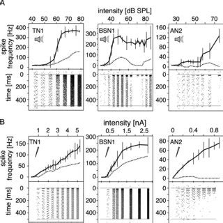 Input Response Curves For Acoustic And Current Stimulation Responses Download Scientific