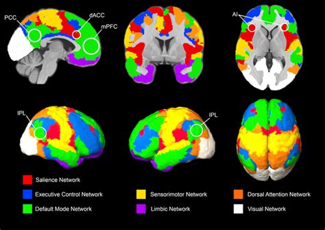 Brain Networks One Atlas With Seven Networks Seven Brain Networks