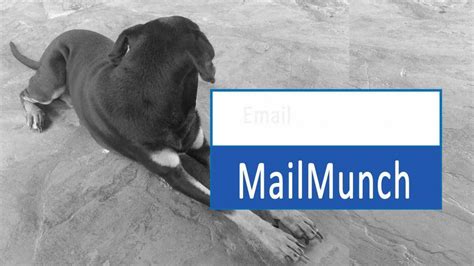 Free Mailmunch Tutorial For Beginners Bizanosa