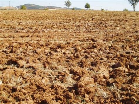 Site FIGURE Site Download Scientific Diagram