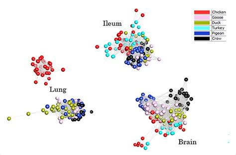 Sample Sample Network Graph Of Each Individual Sample Normalised