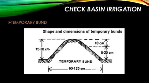 Check Basin Furrow And Border Strip Method