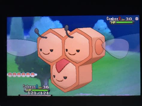 [6] Shiny Female Combee Appears At 1 337 Encounters R Shinypokemon