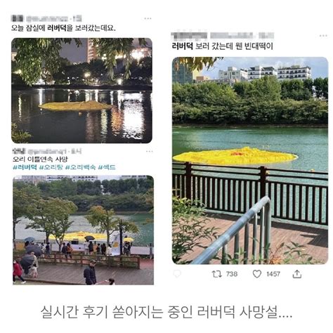 러버덕 근황 오픈이슈갤러리 인벤