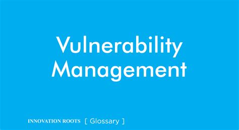 Vulnerability Management Glossary Innovation Roots