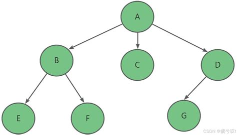 【数据结构】树的概念 详解 Tlnshuju 博客园